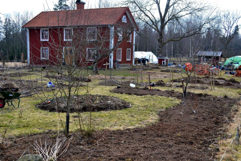 How to make a no-dig garden bed – Sara's Kitchen Garden