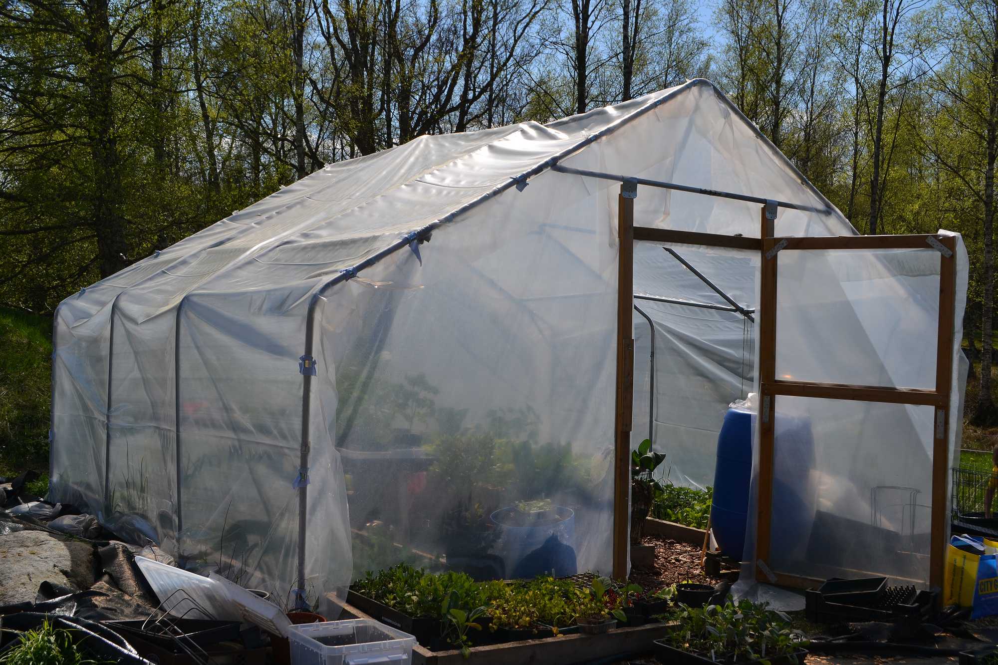 Guide: Buying a polytunnel for your garden – Sara's Kitchen Garden
