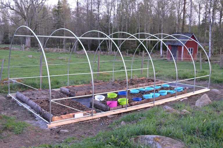 Guide: Buying a polytunnel for your garden – Sara's Kitchen Garden