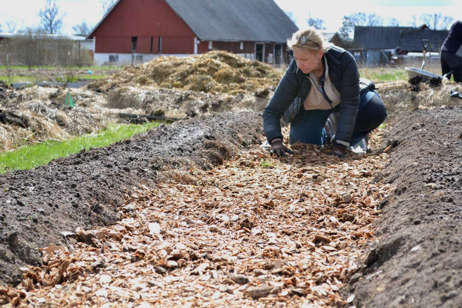My wood chip garden paths – Sara at Skillnaden's