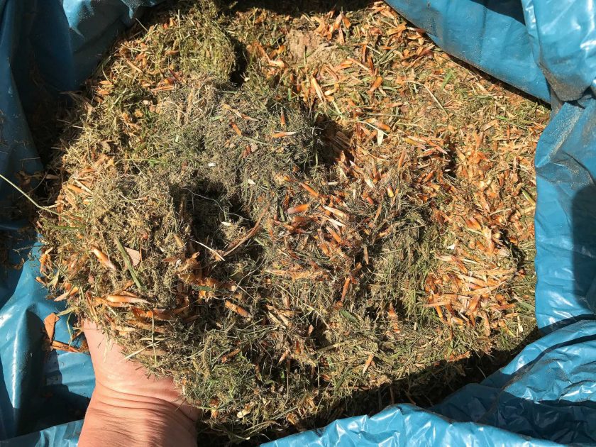 Garden DIY: Storing grass clippings – Sara's Kitchen Garden