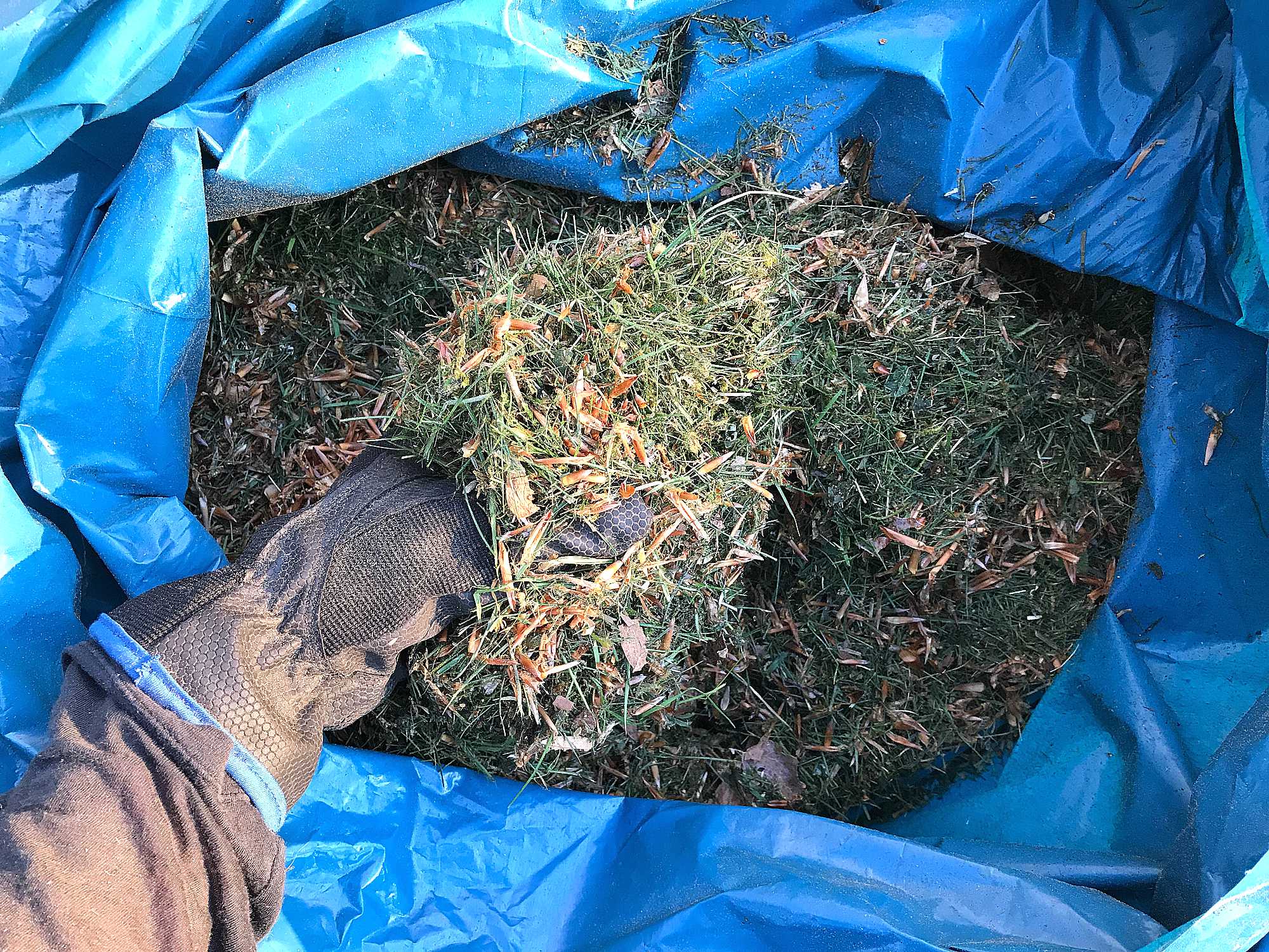 Garden DIY: Storing grass clippings – Sara's Kitchen Garden