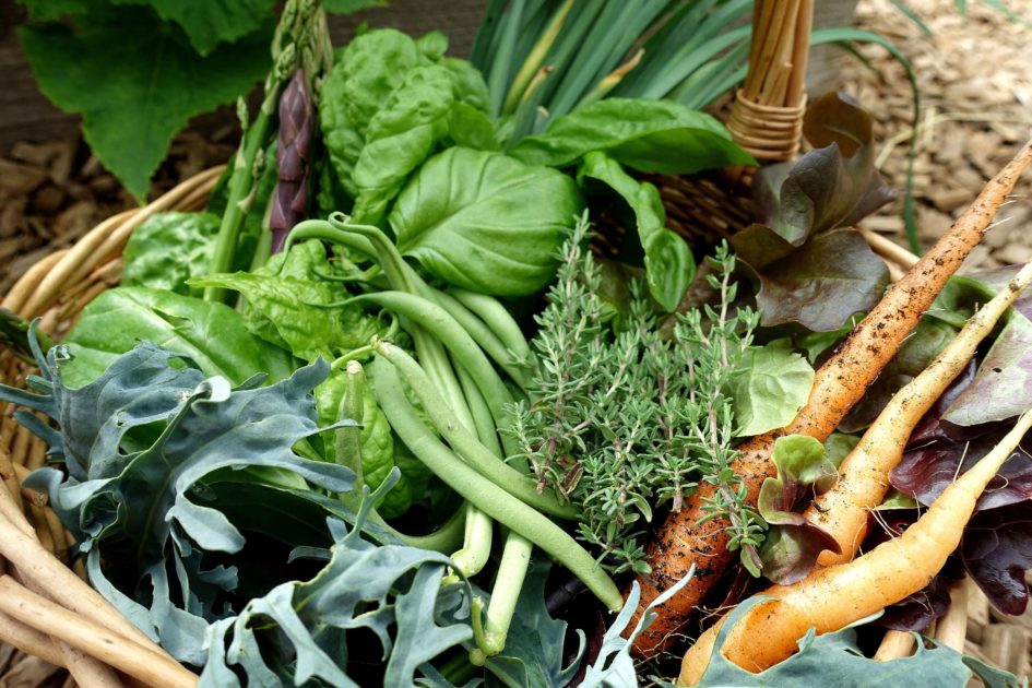 Growing your own food: What's for lunch? – Sara's Kitchen Garden