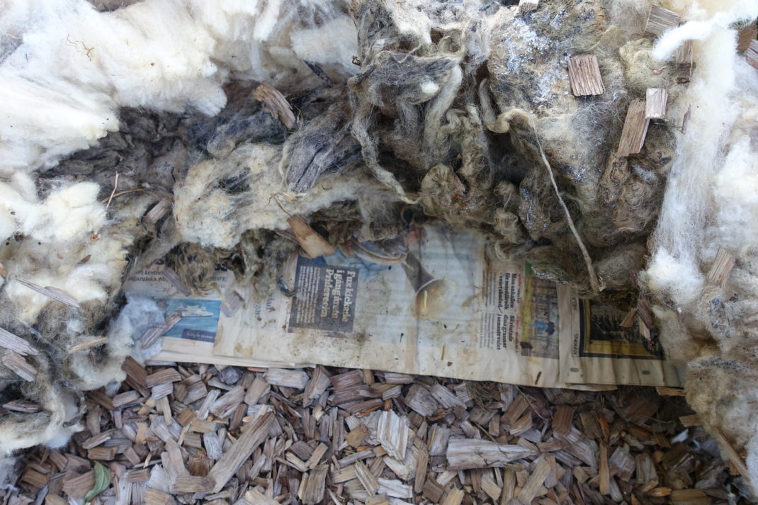 Mulching with wool in my garden – Sara's Kitchen Garden