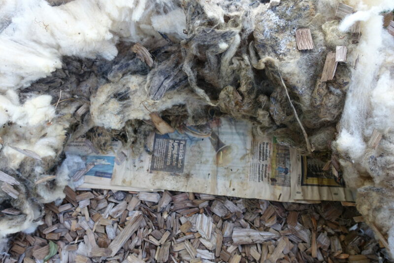 Mulching with wool in my garden – Sara's Kitchen Garden