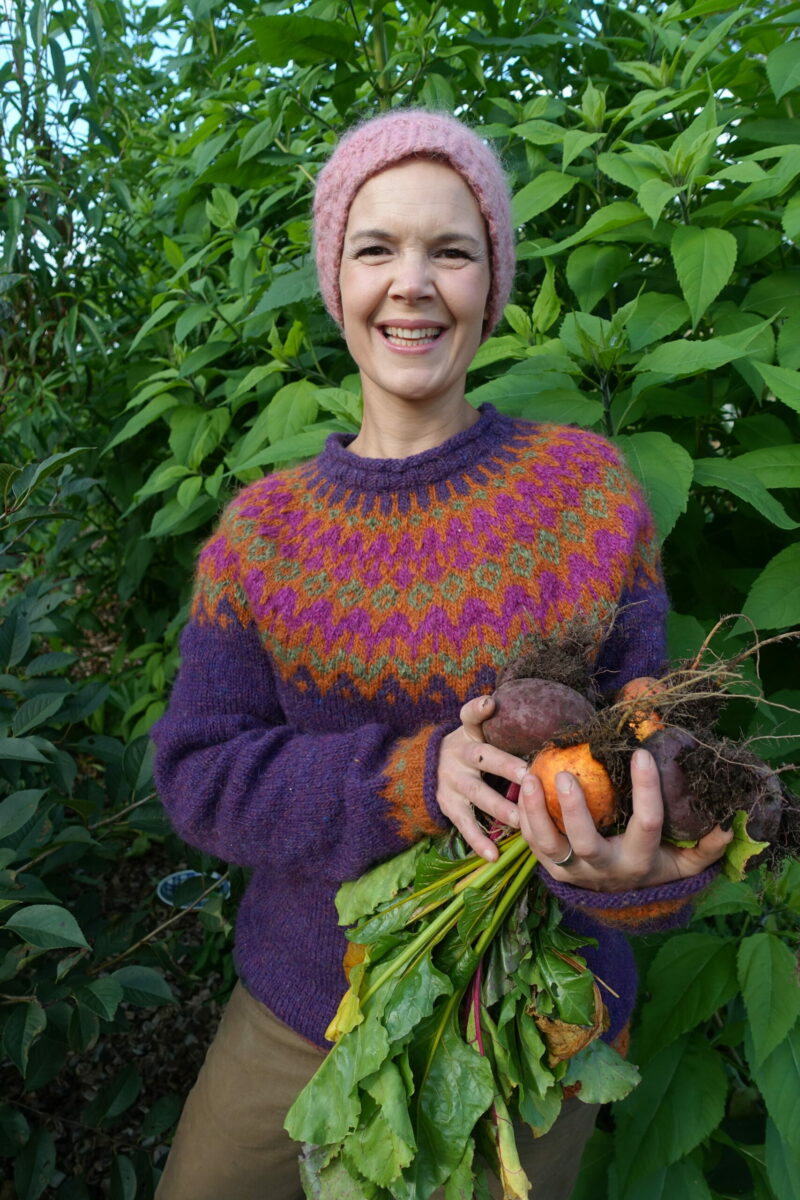 Sara's Icelandic wool sweater Riddari – Sara's Kitchen Garden