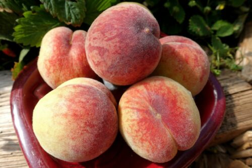 My 4 favorite peach varieties - Sara Bäckmo