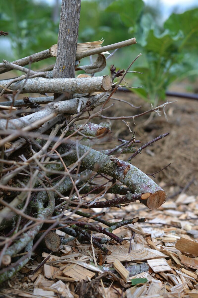 Garden DIY: Wattle Edging – Sara's Kitchen Garden