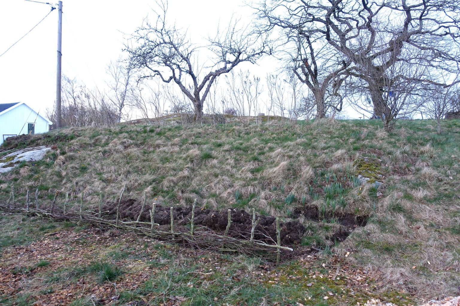 Garden DIY: Wattle Edging – Sara's Kitchen Garden