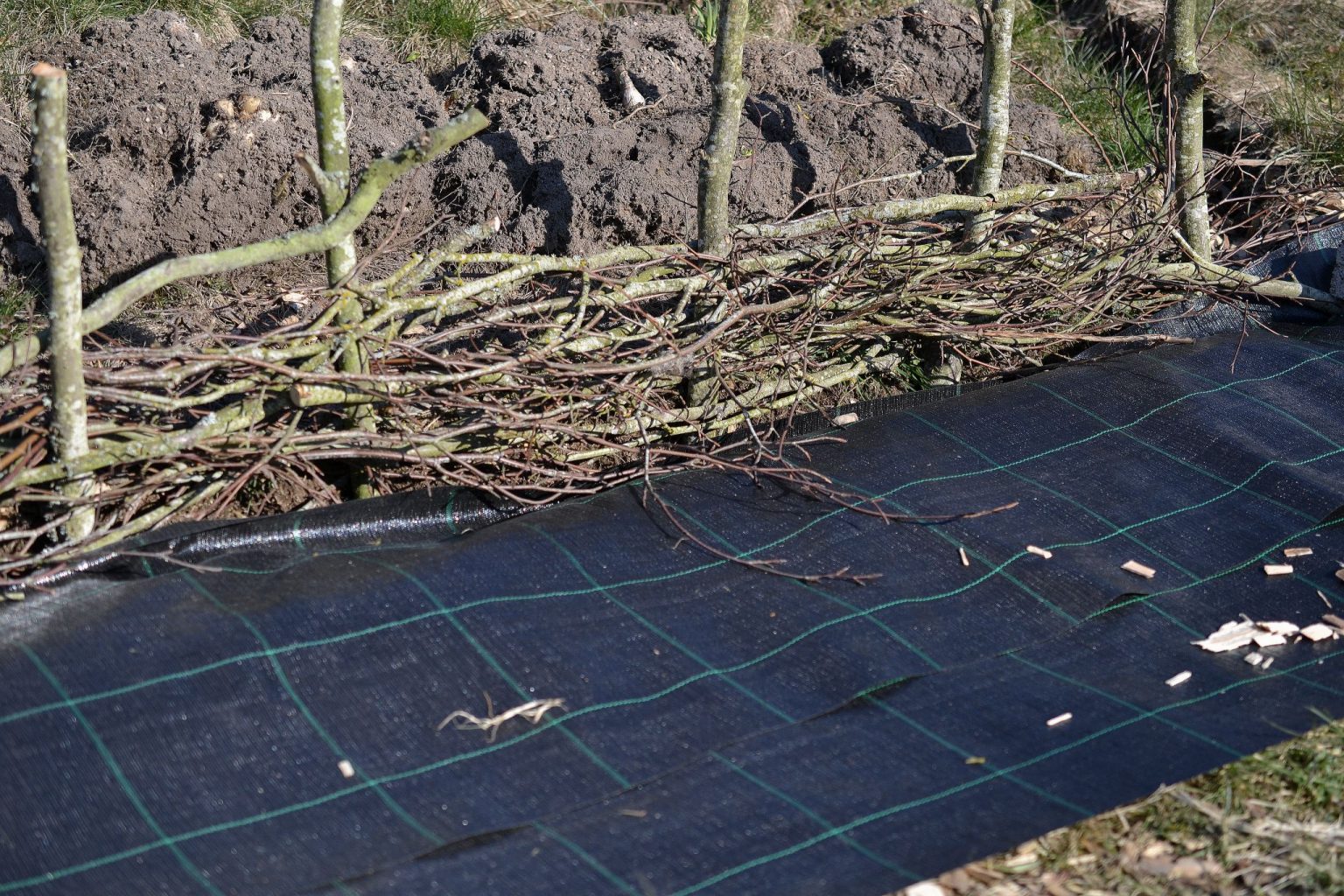 Garden DIY: Wattle Edging – Sara's Kitchen Garden