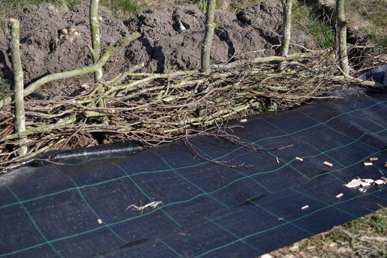 Garden DIY: Wattle Edging – Sara's Kitchen Garden