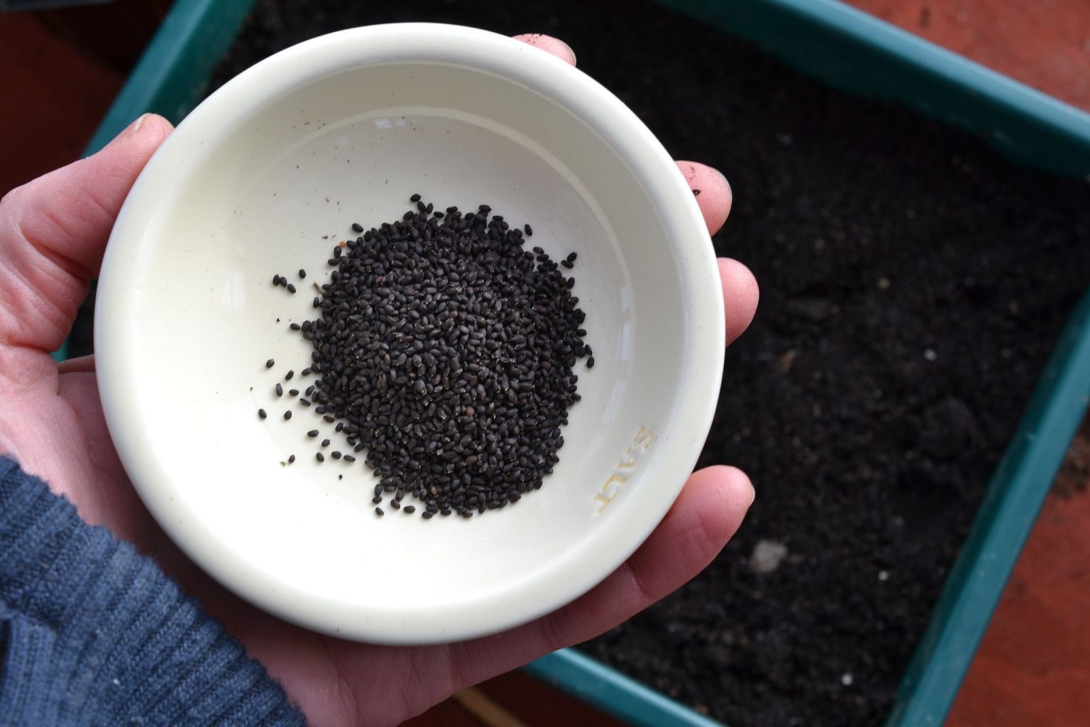 Guide to Broadcast Seeding in the Garden – Sara's Kitchen Garden