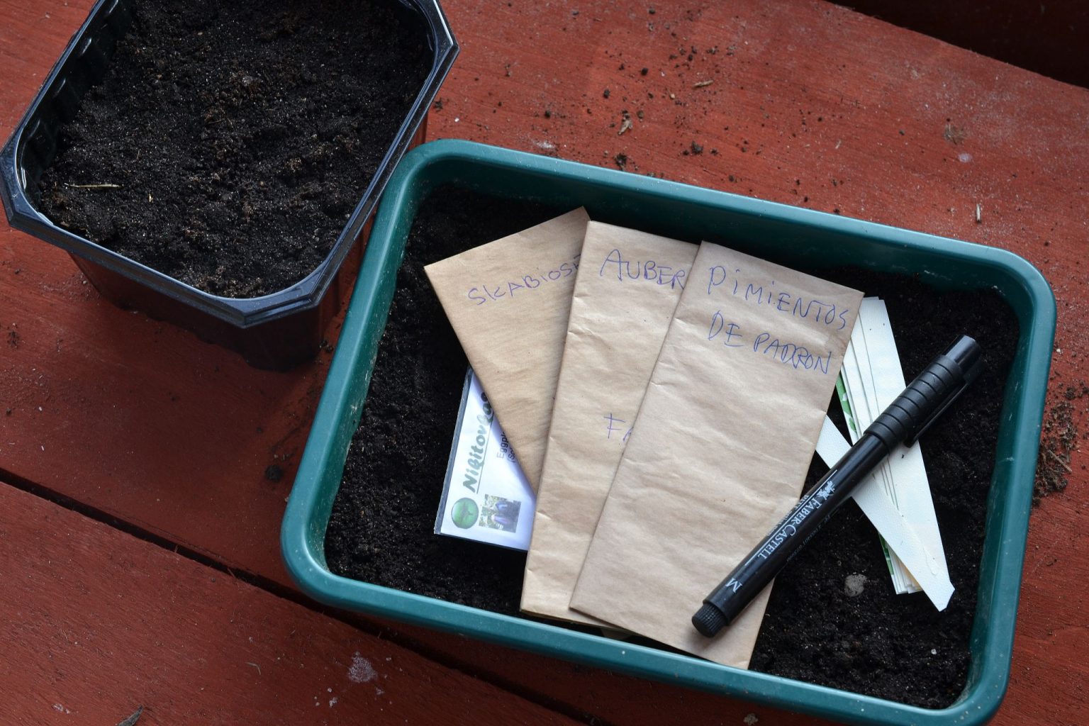 Guide to Broadcast Seeding in the Garden – Sara's Kitchen Garden