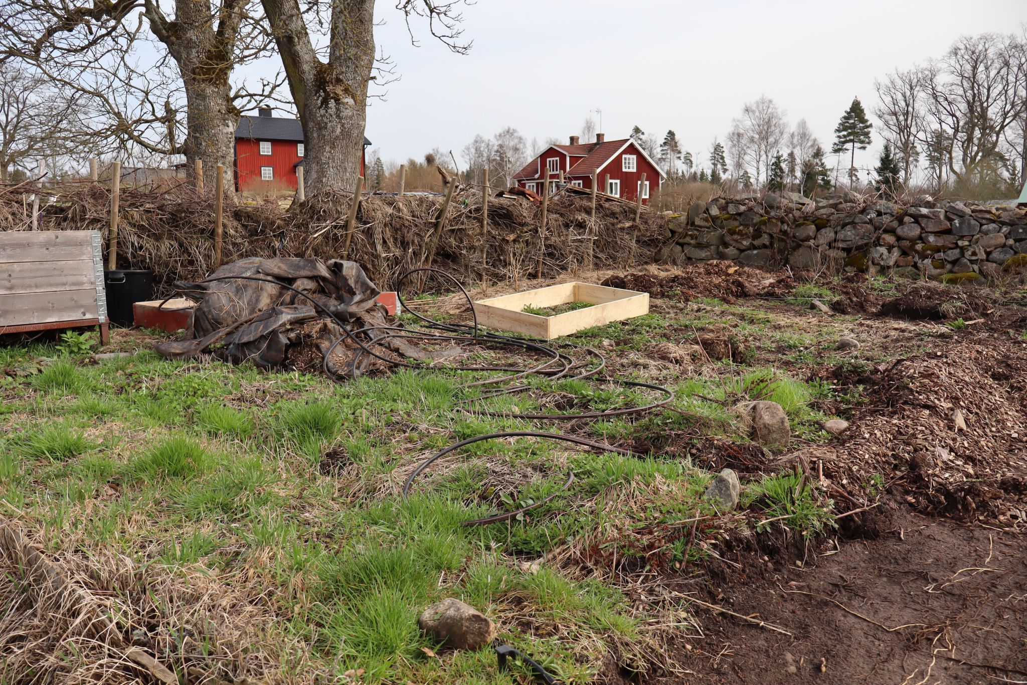 sarabackmo-tradgard-ogras - Sara Bäckmo